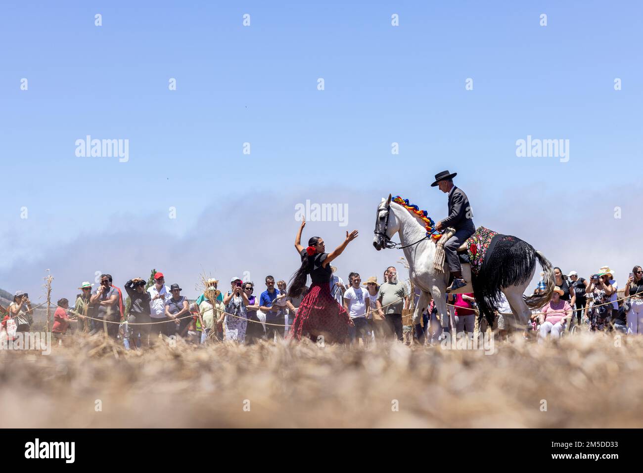 Andalucian horseman giving a display of traditional horsemanship and ...