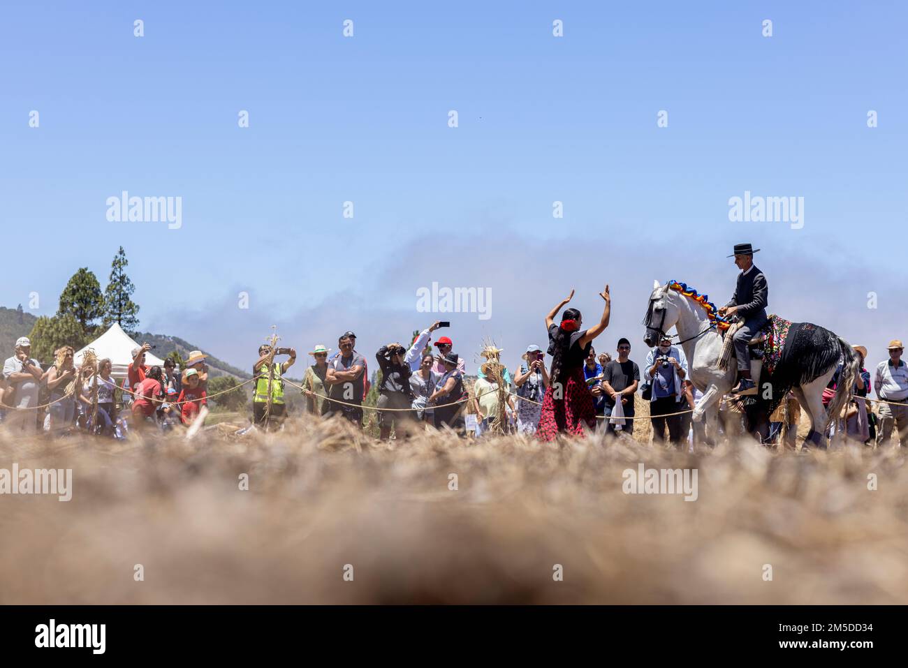 Andalucian horseman giving a display of traditional horsemanship and ...