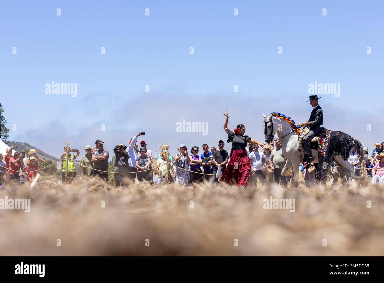 Andalucian horseman giving a display of traditional horsemanship and ...