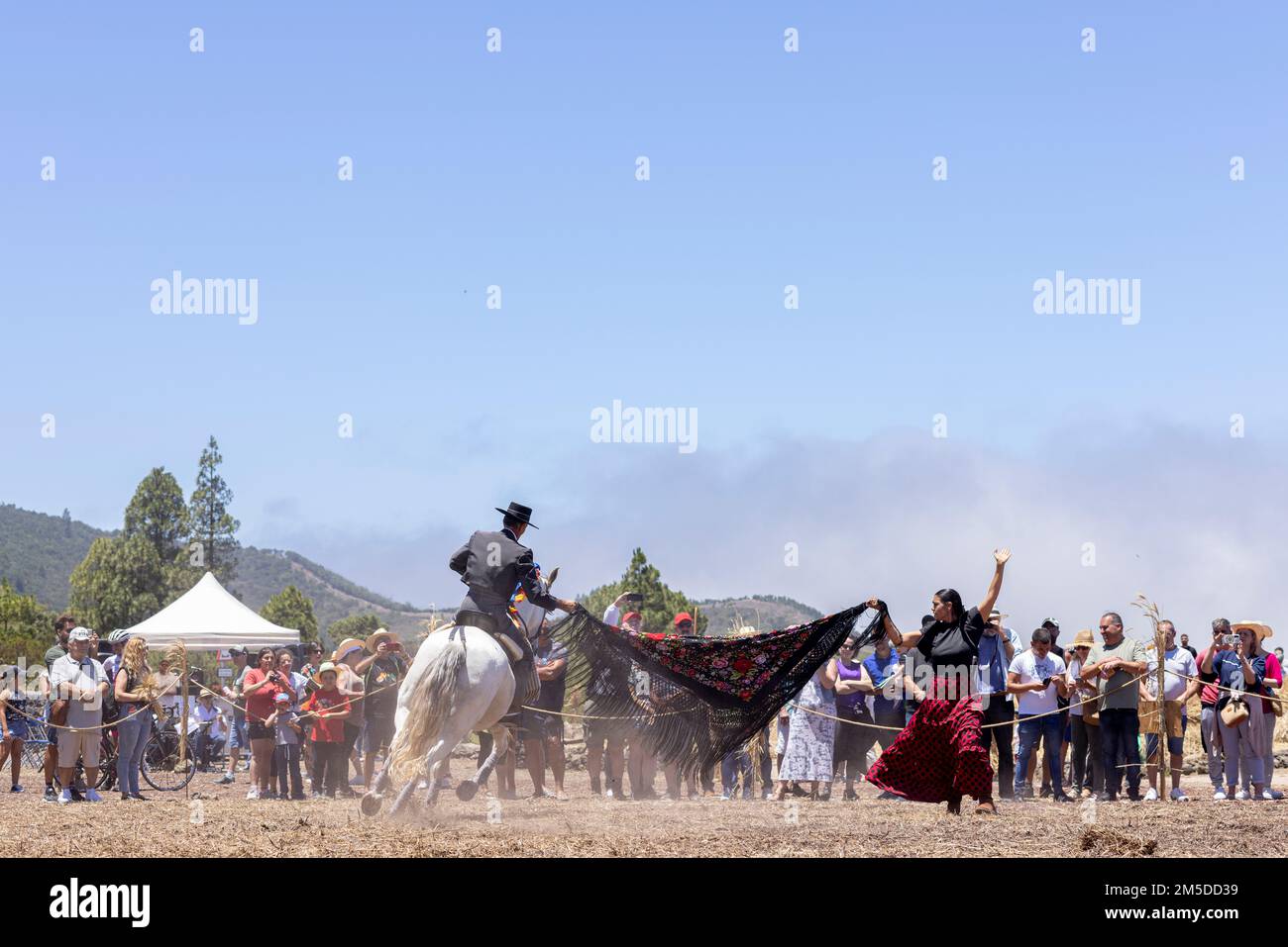 Andalucian horseman giving a display of traditional horsemanship and ...