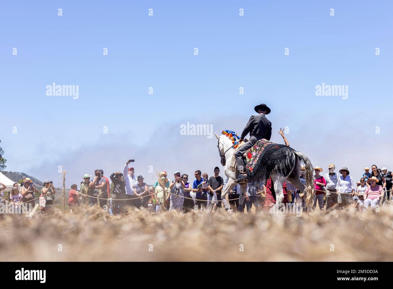 Andalucian horseman giving a display of traditional horsemanship and ...