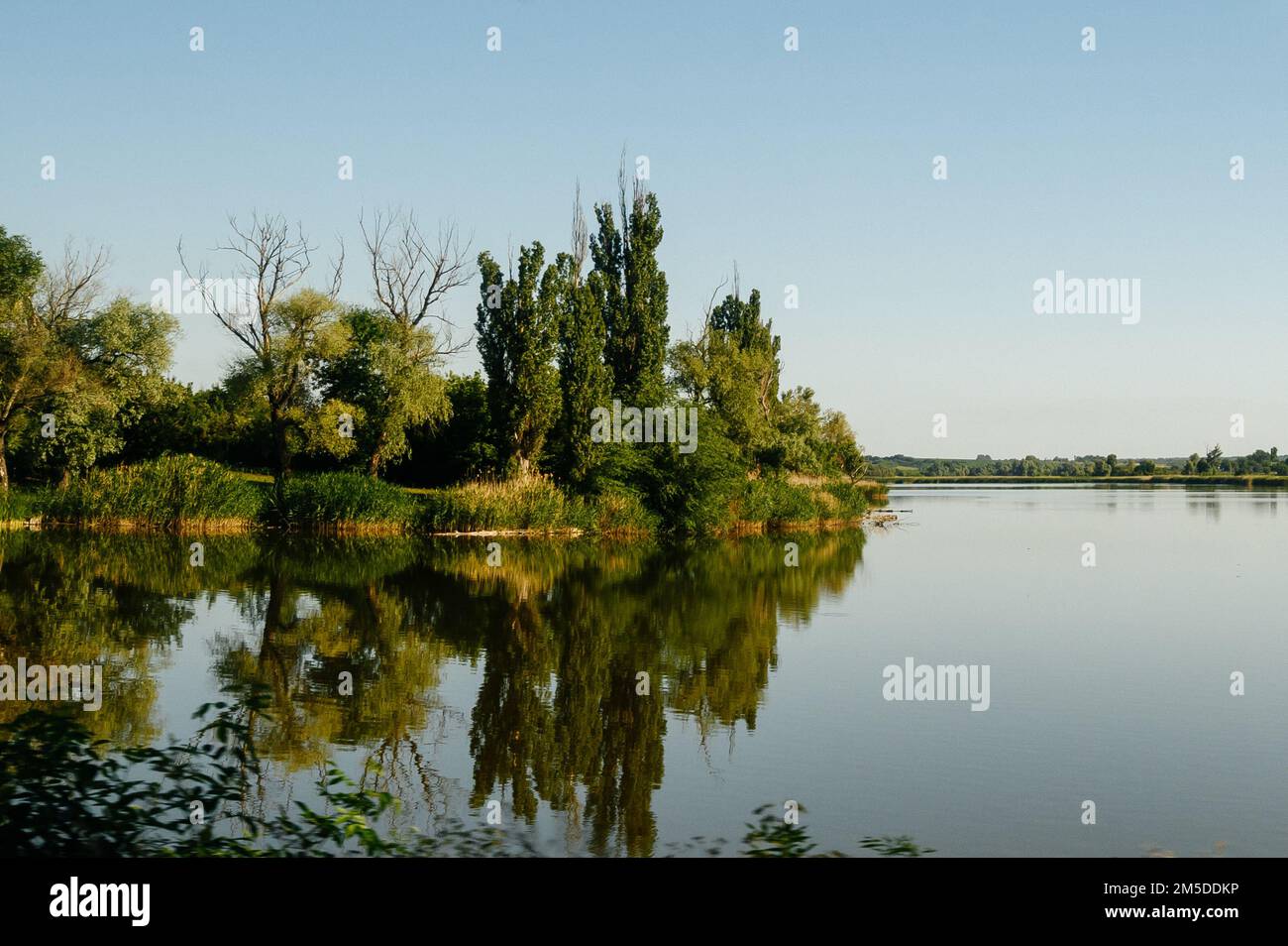 Big lake on the horizon with trees and reeds, deep blue water in the ...