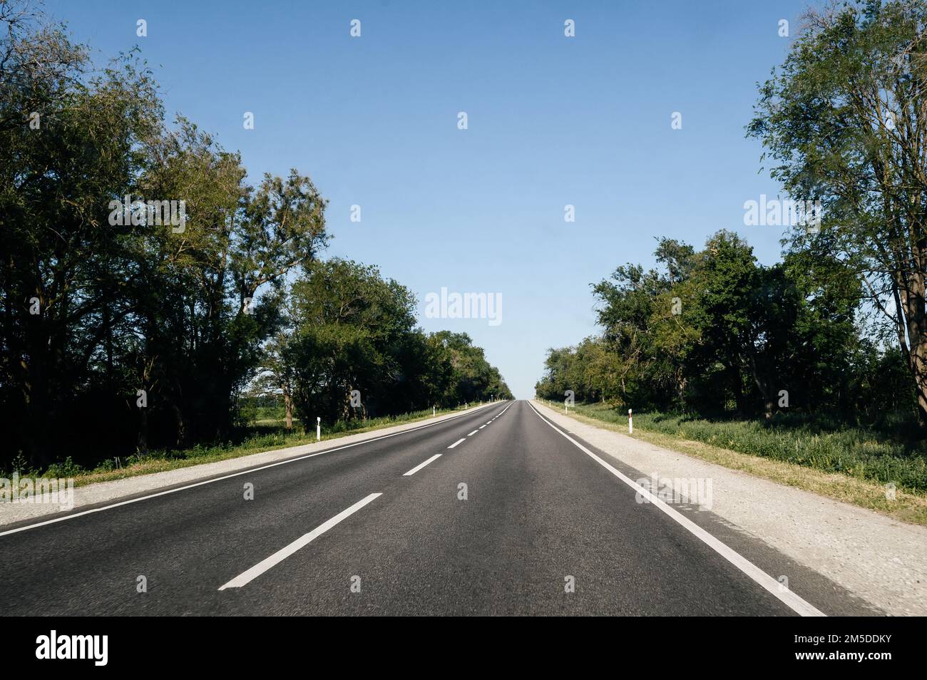 Motor transport routes between trees laid asphalt in Ukraine pre -war ...