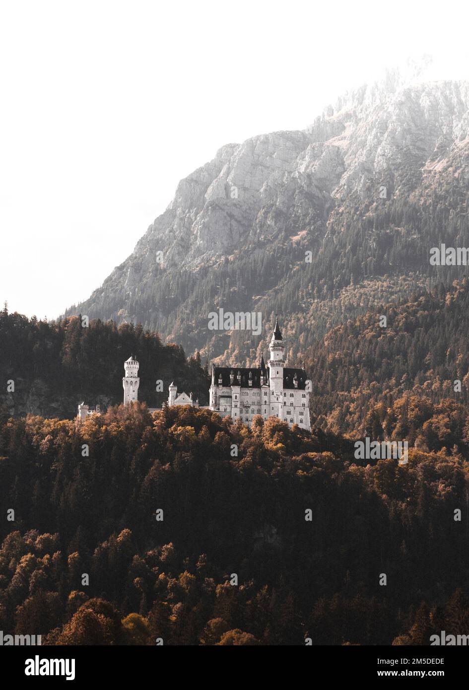 Neuschwanstein Castle with fall colors with mountain in the background ...