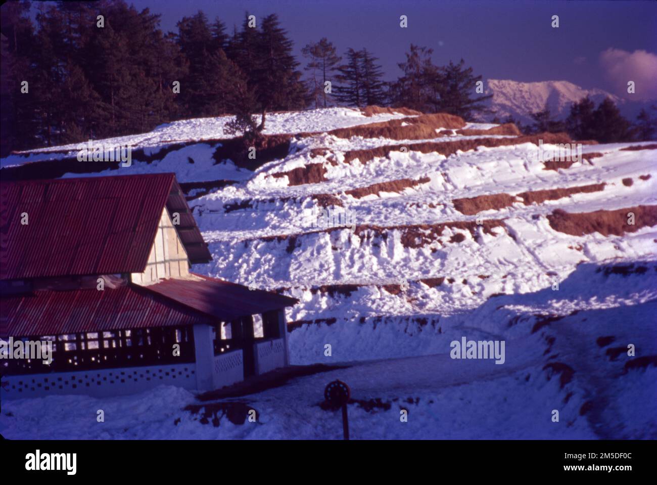 Nestled in the bosom of the Himalayas, Kufri is one of the most ...