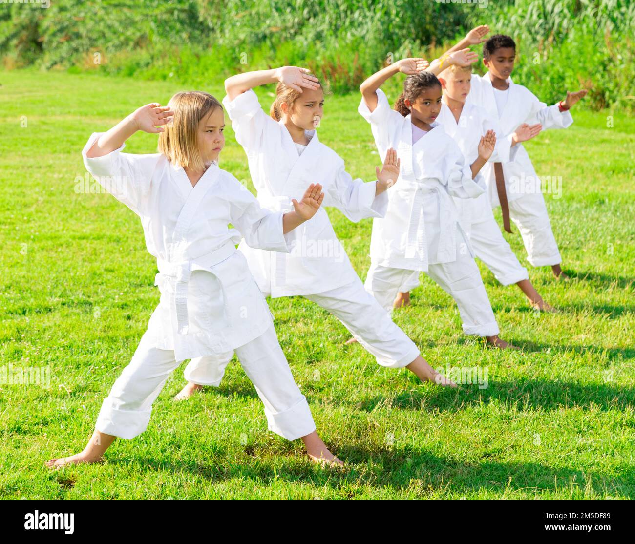Multiracial group of preteen children practicing karate in summer park ...