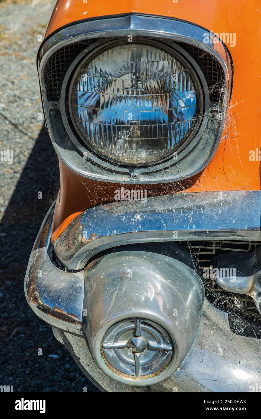 A 1956 Chevy Bel Air headlight and bumper detail covered in cobwebs ...