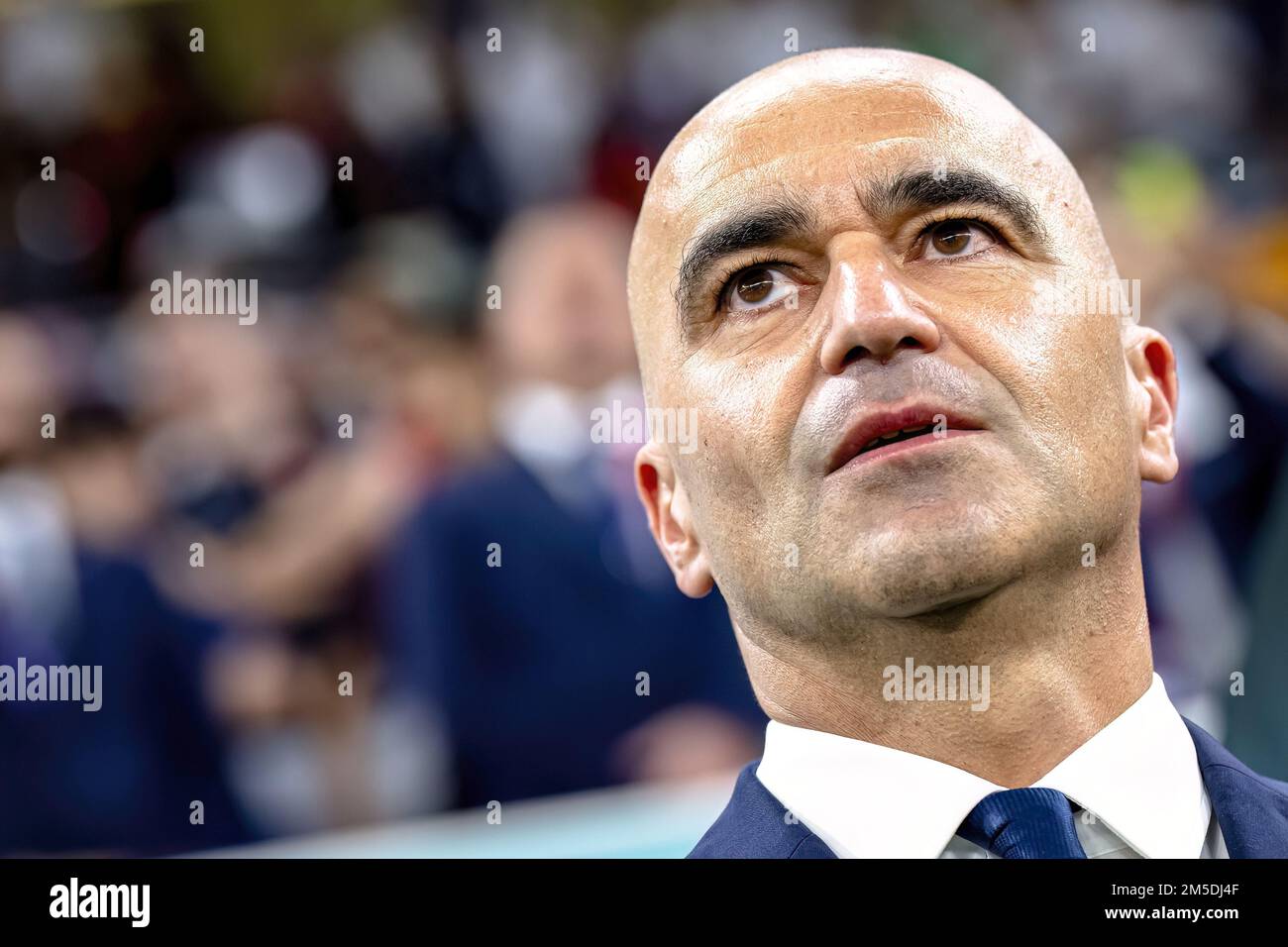 AL RAYYAN, Qatar, 23-11-2022, Ahmad Bin Ali stadium, World Cup 2022 in Qatar, game between ...