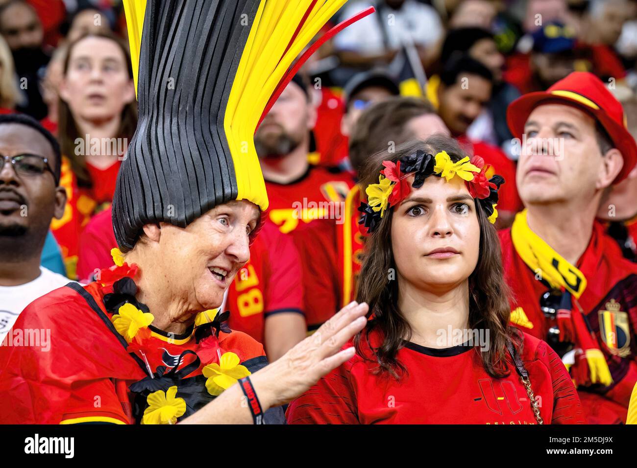 AL RAYYAN, Qatar, 23-11-2022, Ahmad Bin Ali stadium, World Cup 2022 in ...