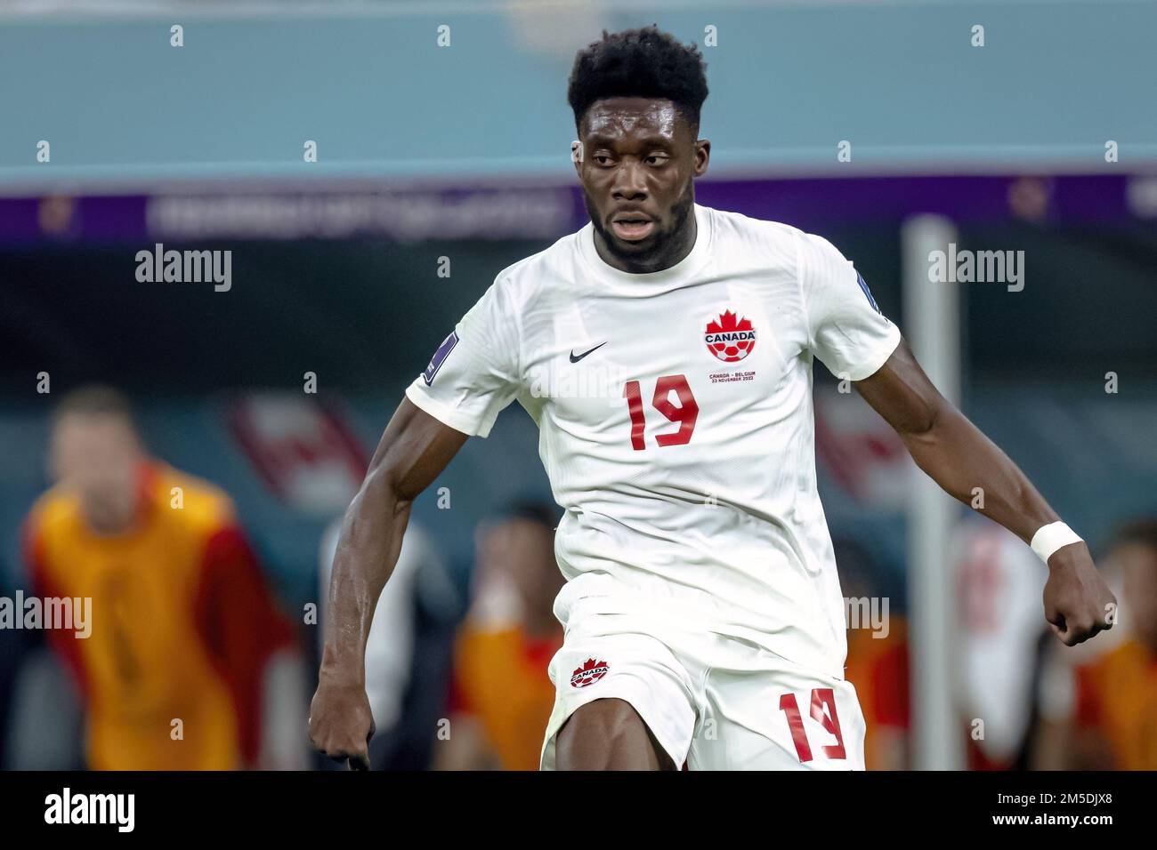 AL RAYYAN, Qatar, 23-11-2022, Ahmad Bin Ali stadium, World Cup 2022 in Qatar, game between ...