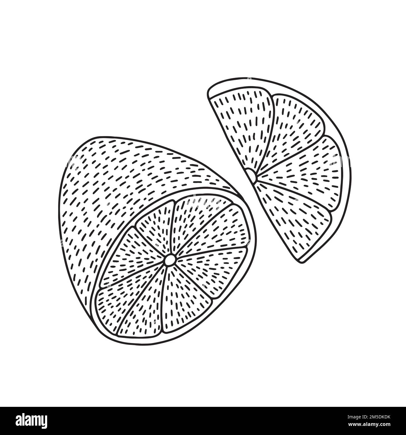 Vector Lemon Slices Set Isolated Stock Vector Image And Art Alamy