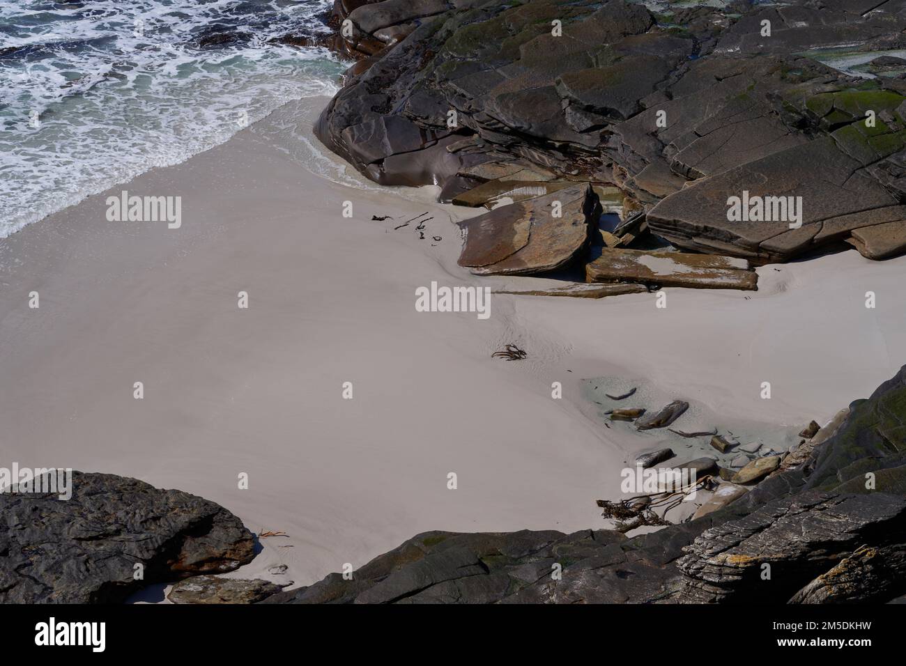 Scenic landscape of Carcass Island in the Falkland Islands Stock Photo ...