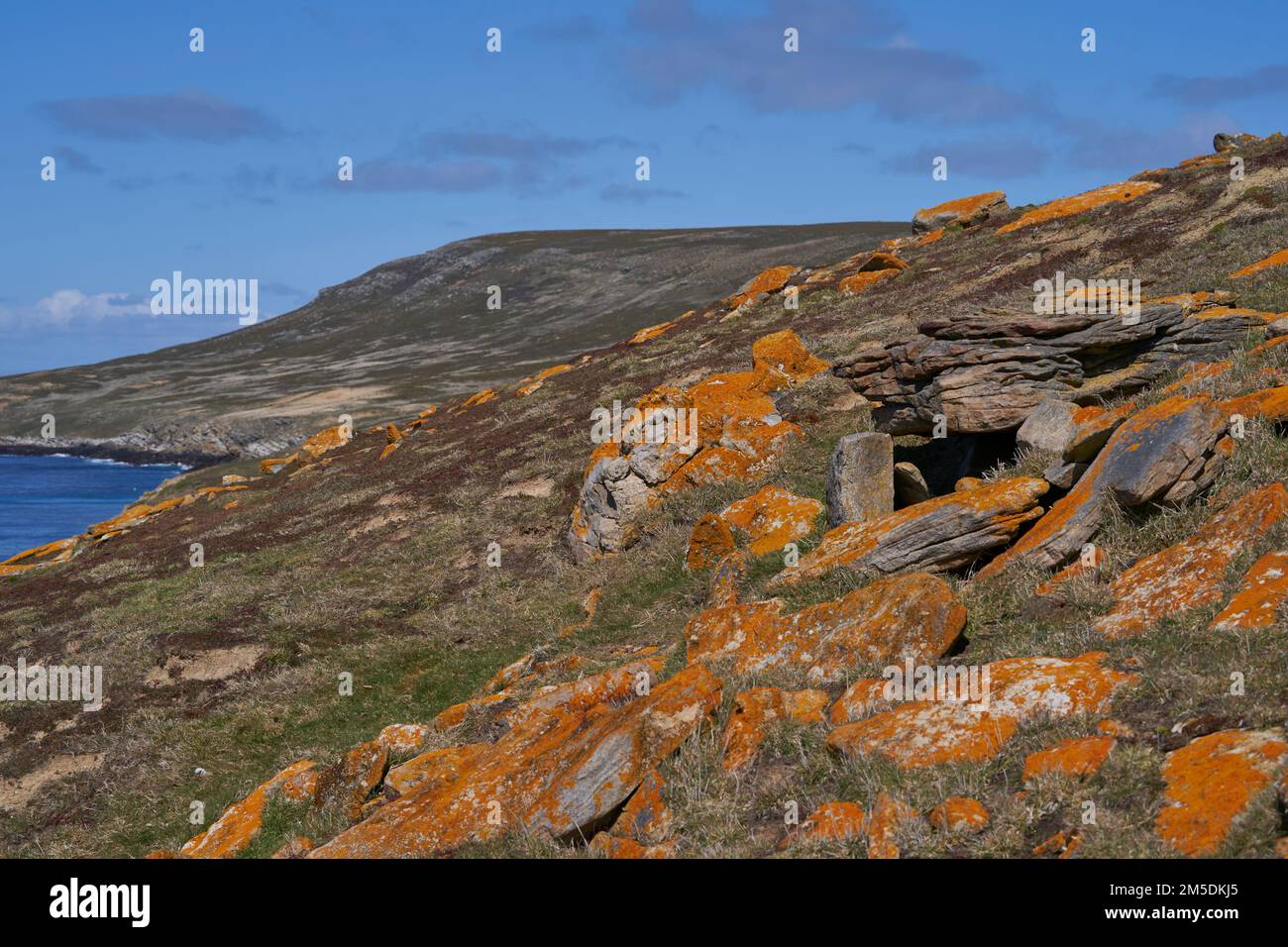 Scenic landscape of Carcass Island in the Falkland Islands Stock Photo ...