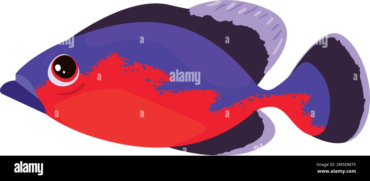 flat colored fish Stock Vector Image & Art - Alamy