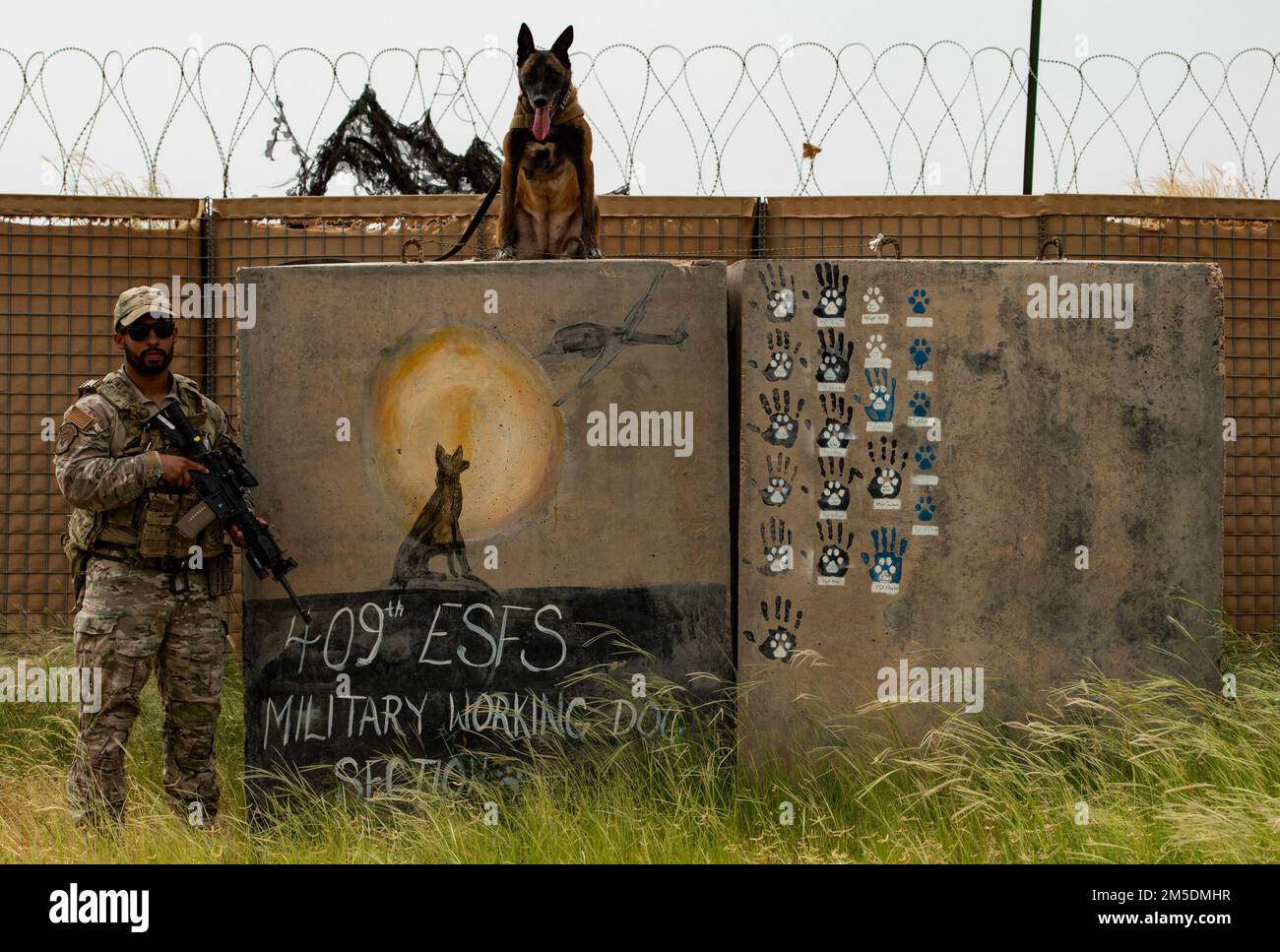 U.S. Air Force Staff Sgt Sirmann Toliver, a military working dog ...