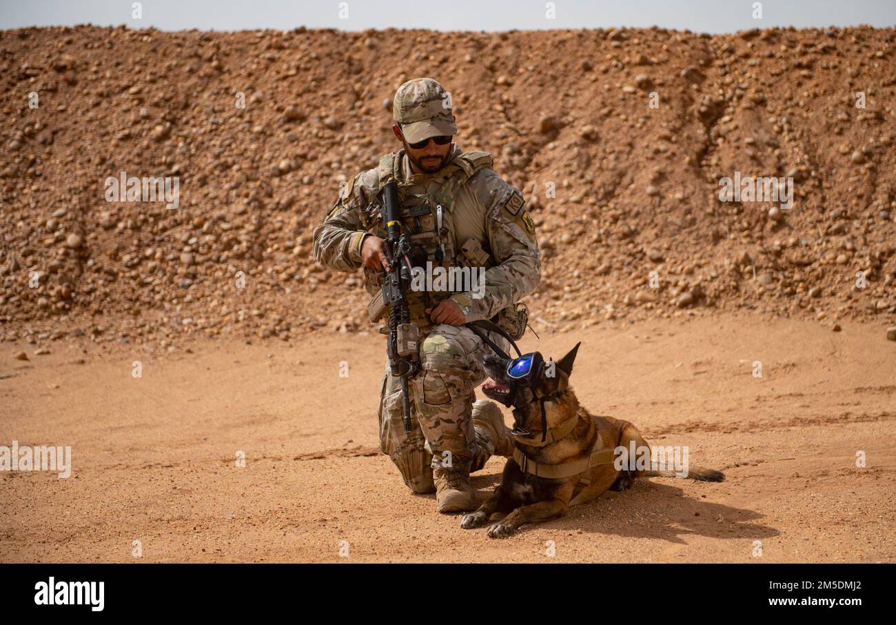 U.S. Air Force Staff Sgt Sirmann Toliver, a military working dog ...