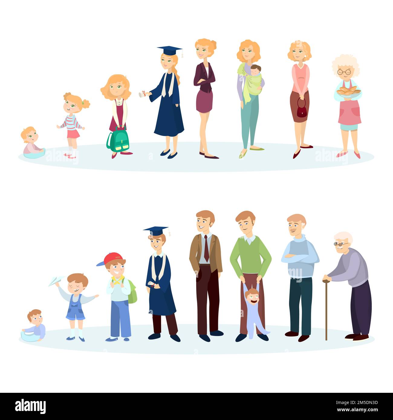From young to old. Woman and man's stages of aging Stock Vector Image ...