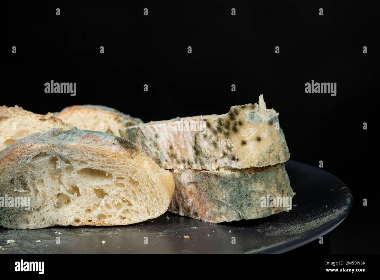 Mold on bread on a black background close-up. The danger of mold, stale ...