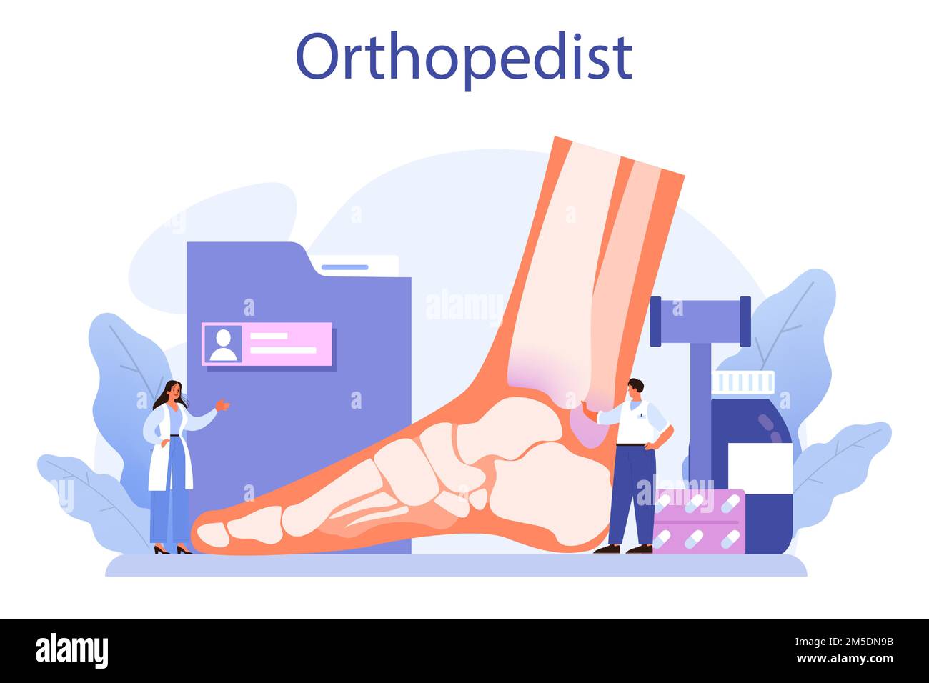 Orthopedics doctor. Idea of joint and bone treatment. Human anatomy and ...
