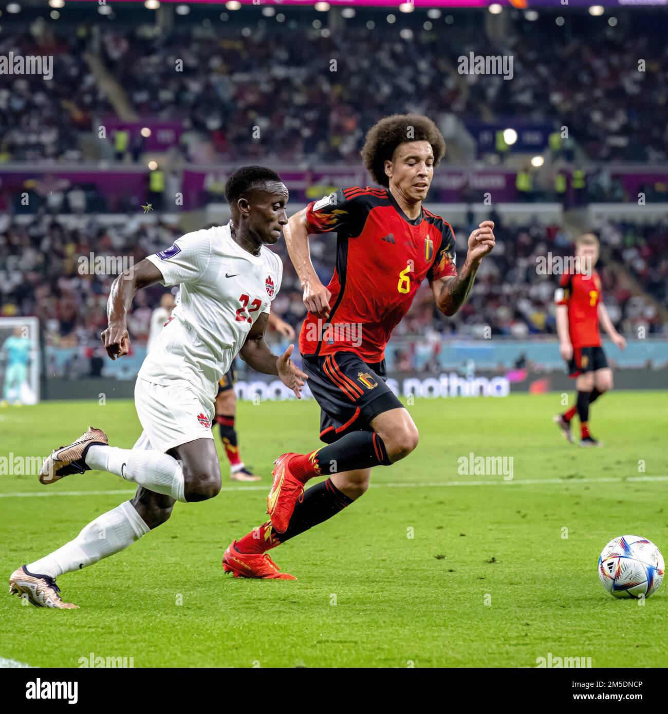 AL RAYYAN, Qatar, 23-11-2022, Ahmad Bin Ali stadium, World Cup 2022 in Qatar, game between ...