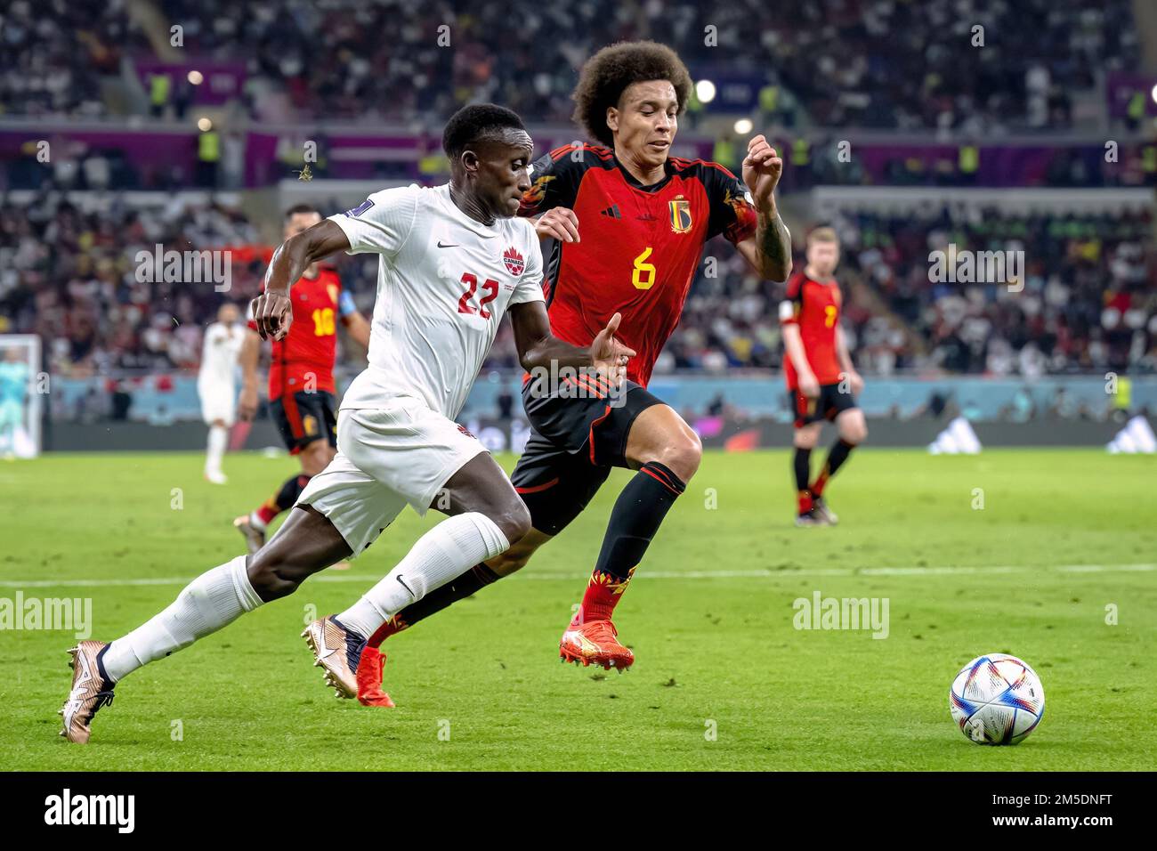 AL RAYYAN, Qatar, 23-11-2022, Ahmad Bin Ali stadium, World Cup 2022 in Qatar, game between ...