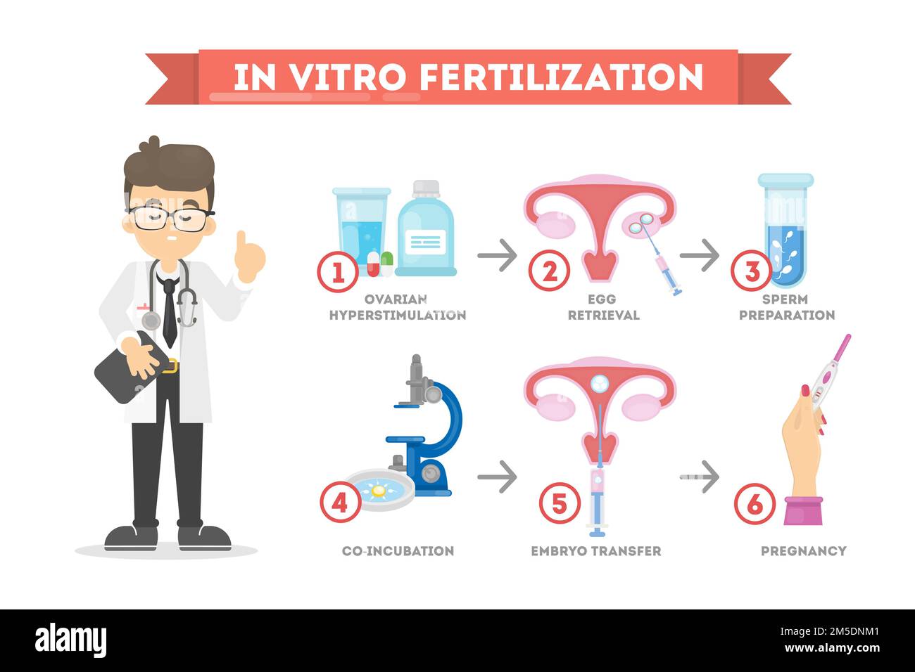 In vitro fertilization. Male scientist with infographic Stock Vector ...