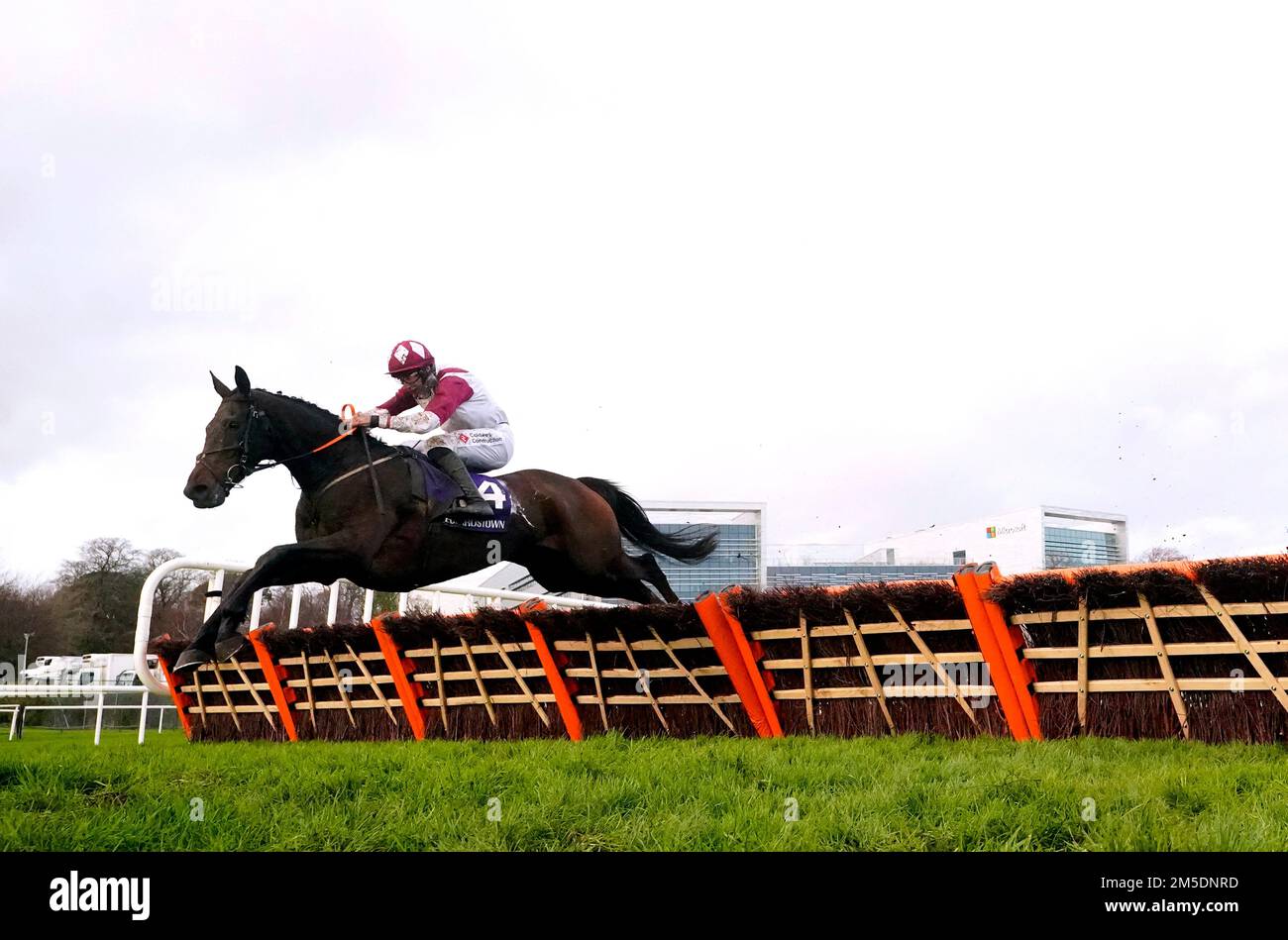 Maxxum horse hi-res stock photography and images - Alamy