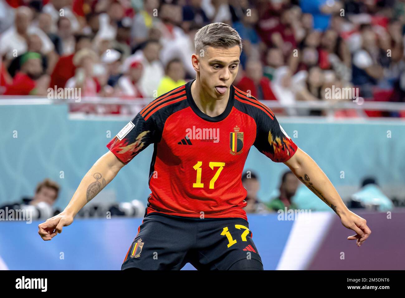 AL RAYYAN, Qatar, 23-11-2022, Ahmad Bin Ali stadium, World Cup 2022 in ...