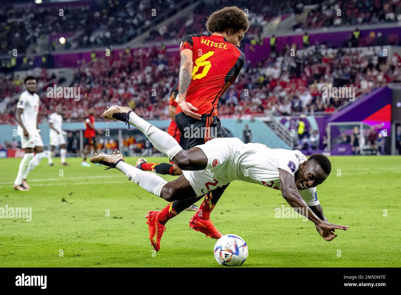 AL RAYYAN, Qatar, 23-11-2022, Ahmad Bin Ali stadium, World Cup 2022 in Qatar, game between ...