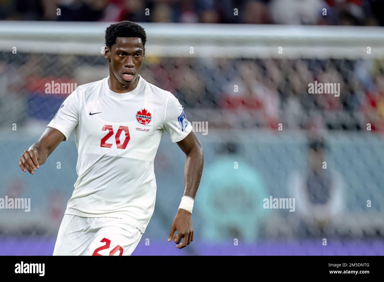 AL RAYYAN, Qatar, 23-11-2022, Ahmad Bin Ali stadium, World Cup 2022 in ...