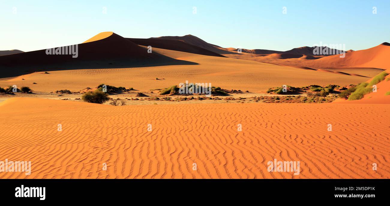 Sand Dunes in Namib Desert with natural sand ripples and shadows ...