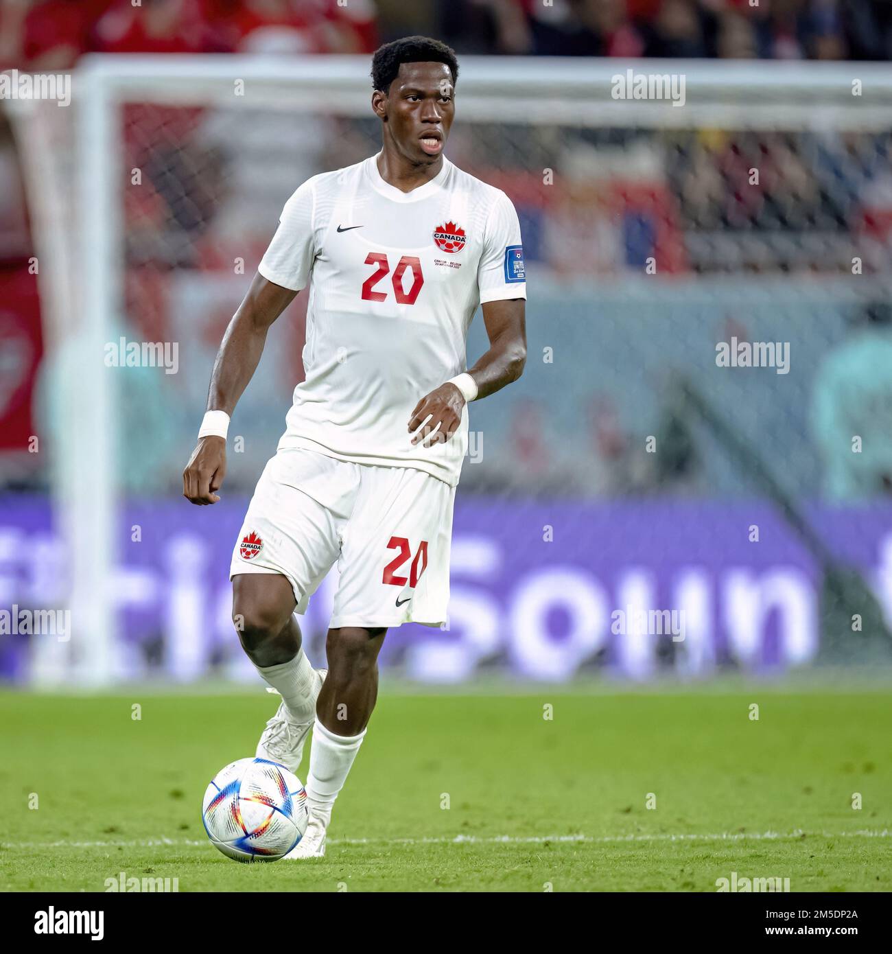 AL RAYYAN, Qatar, 23-11-2022, Ahmad Bin Ali stadium, World Cup 2022 in ...