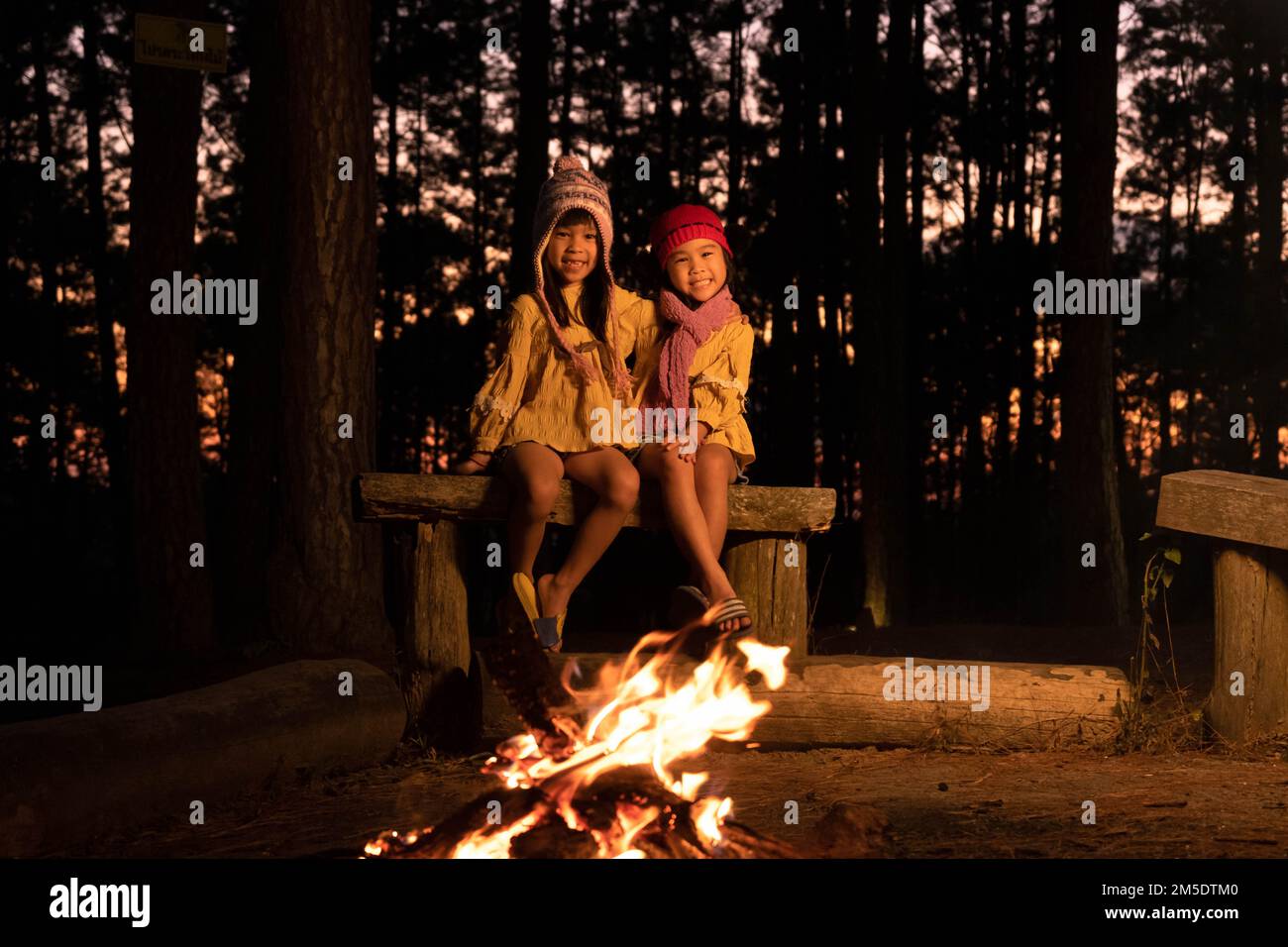 Cute little sisters warm near campfire outdoors in cold weather ...