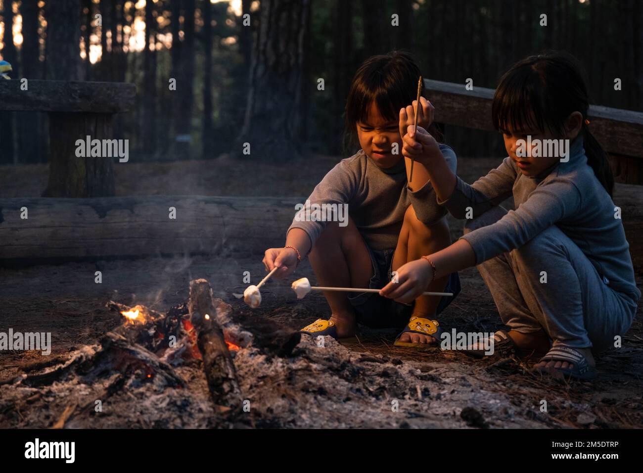 Cute little sisters roasting marshmallows on campfire. Children having ...