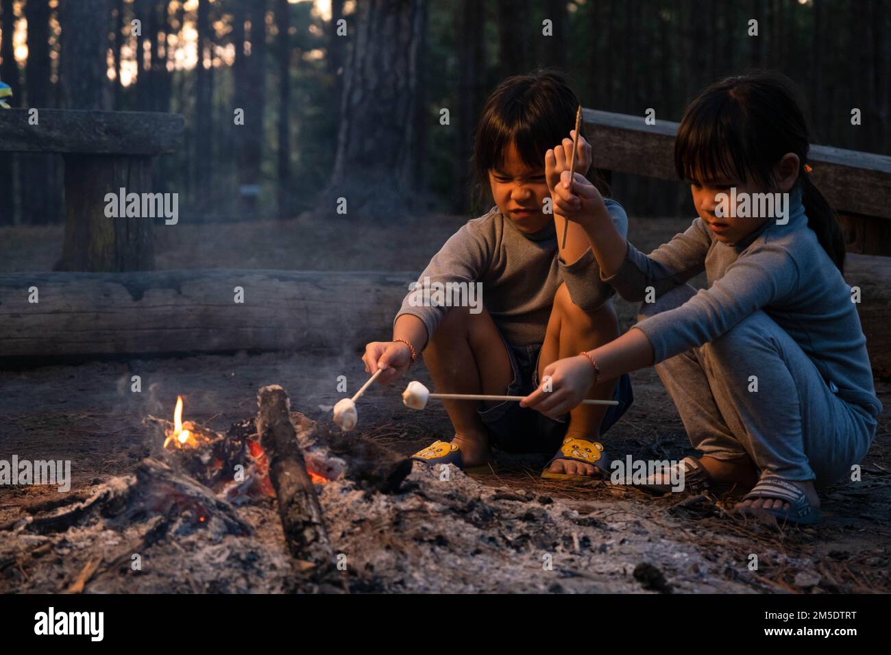 Cute little sisters roasting marshmallows on campfire. Children having ...