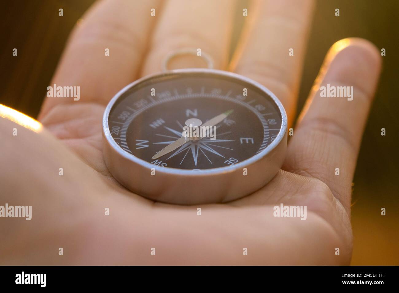Compass in hand on natural pine forest background. hand holding compass ...