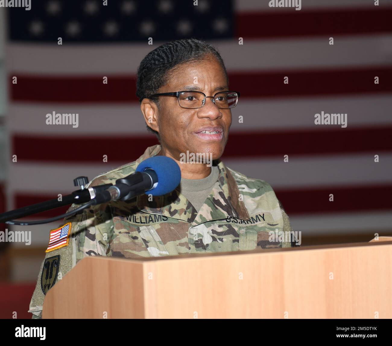 U.S. Army Reserve Brig. Gen. Wanda N. Williams, commander of the 7th ...