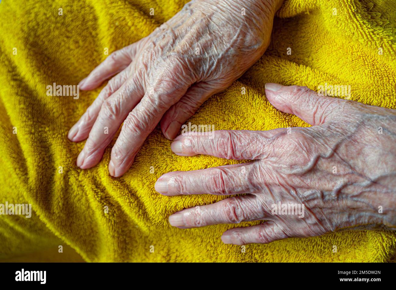Aging process. Very old senior woman hands wrinkled skin Stock Photo ...