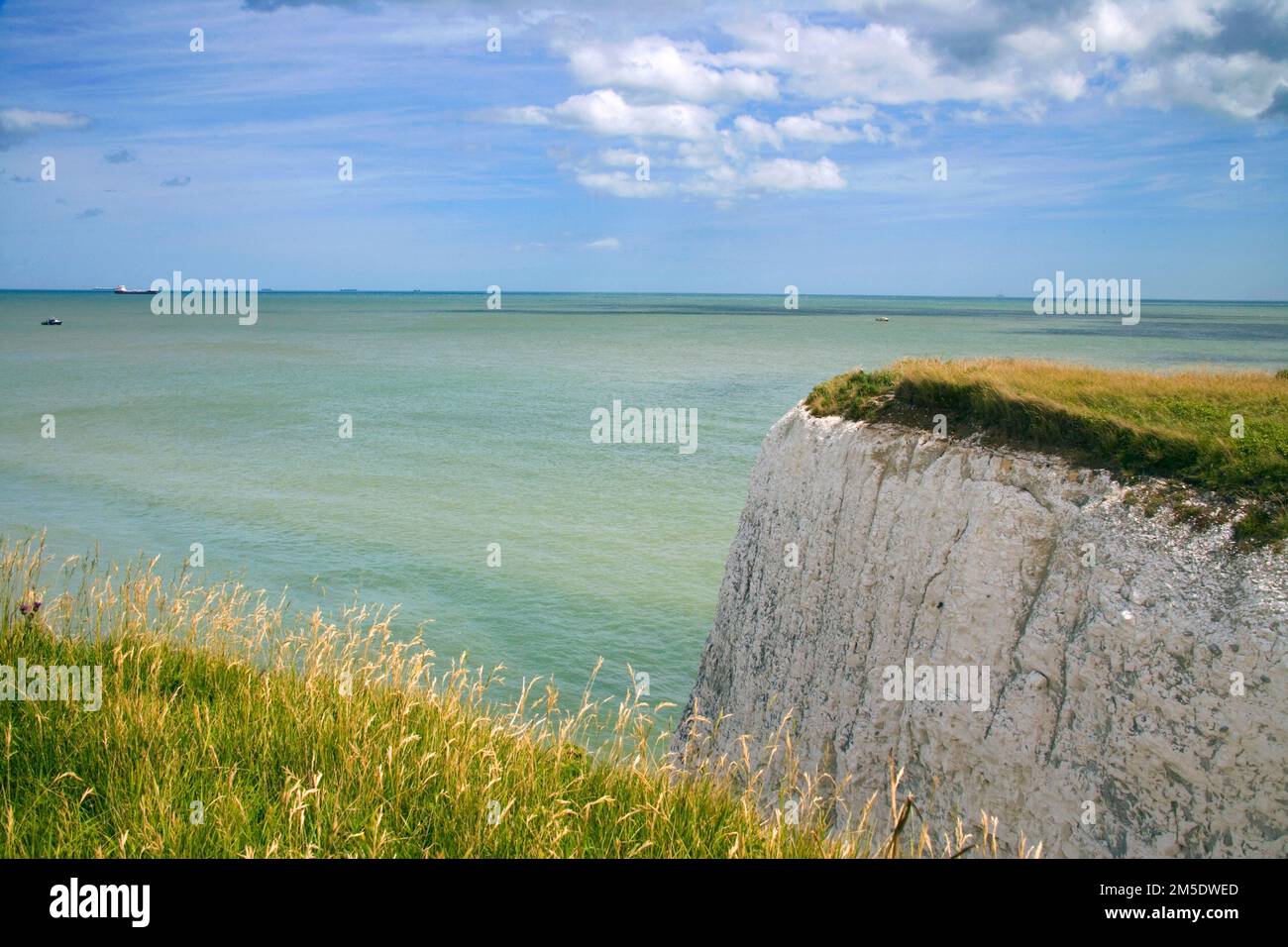 white cliffs at botany bay on the Thanet coast Kent Stock Photo - Alamy