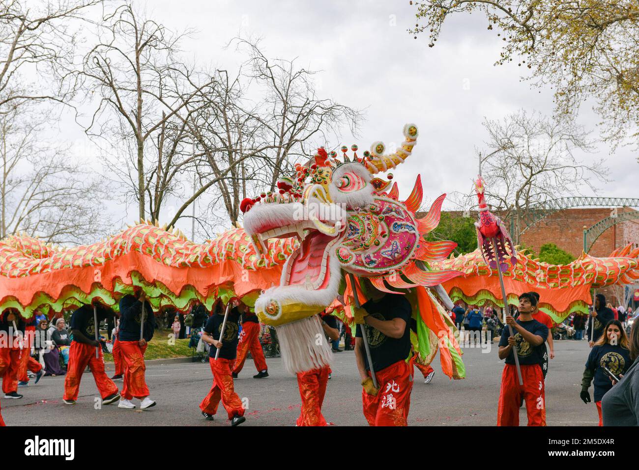 Members of Beale Air Force Base hoist the famous Chinese dragon of the ...