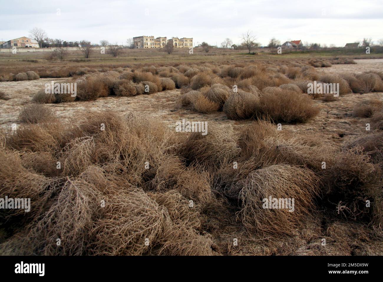 ODESA REGION, UKRAINE - DECEMBER 26, 2022 - The mouth of the Baraboi ...