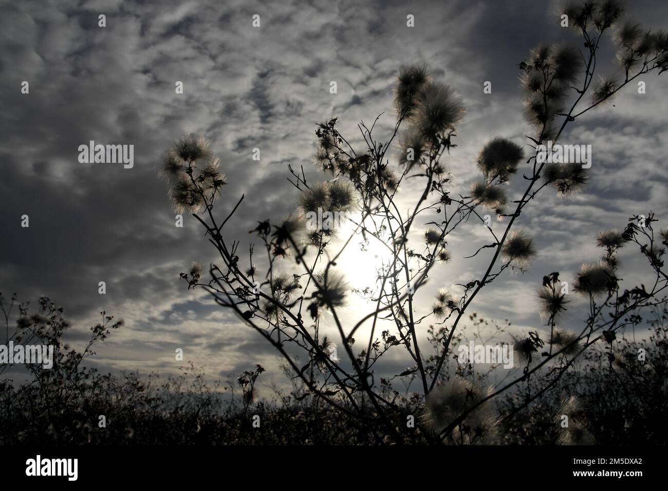 Baraboi hi-res stock photography and images - Alamy