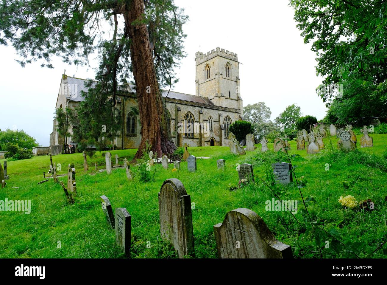 The churchyard at Netherbury parish church, Dorset, UK - John Gollop ...