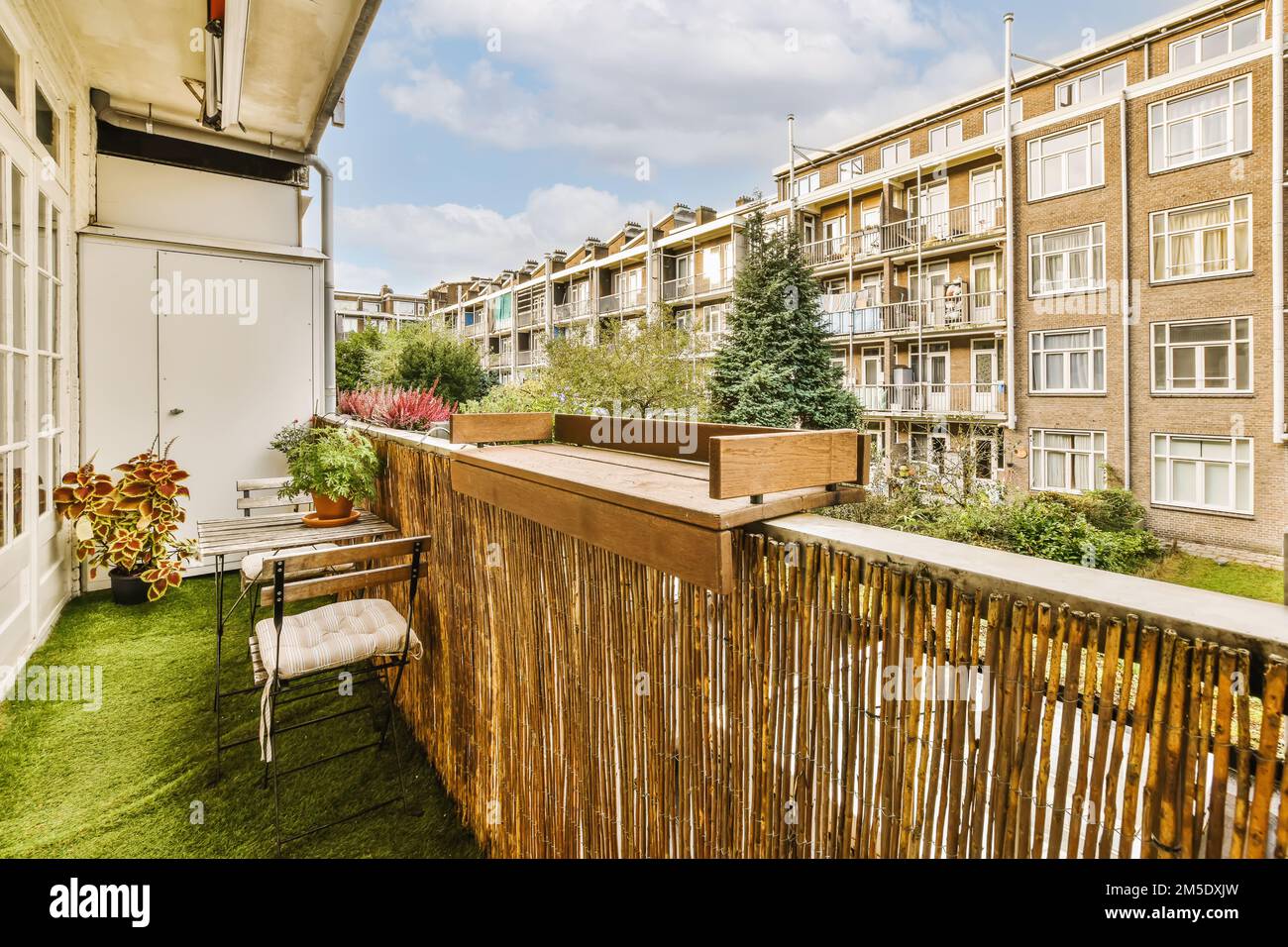 an outside area with some grass and plants on the side of a building ...