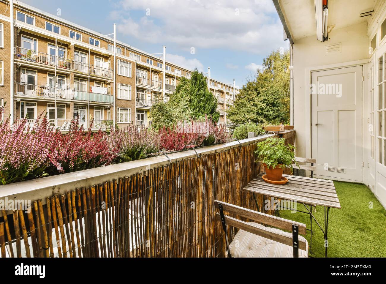 an outside area with some plants on the fence and buildings in the ...