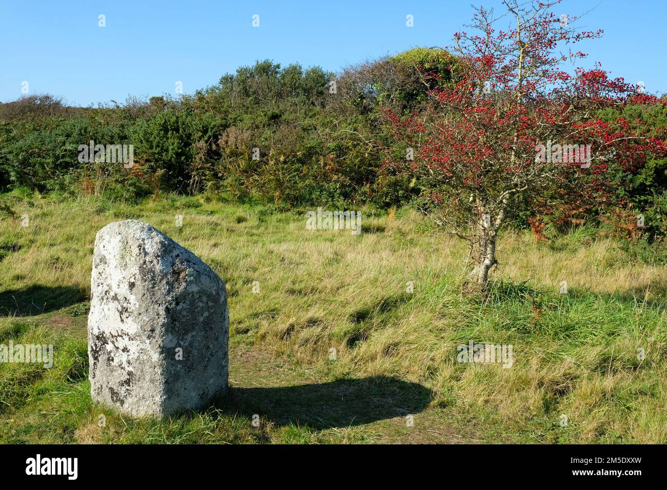 Boscawen-Un stone circle in west Cornwall, UK - John Gollop Stock Photo ...
