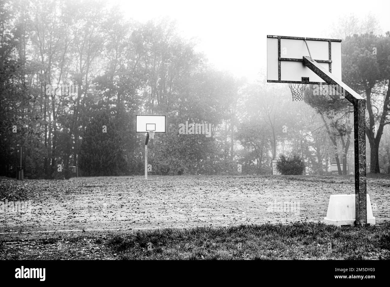 Playng alone over the hill in Emilia Romagna Stock Photo - Alamy