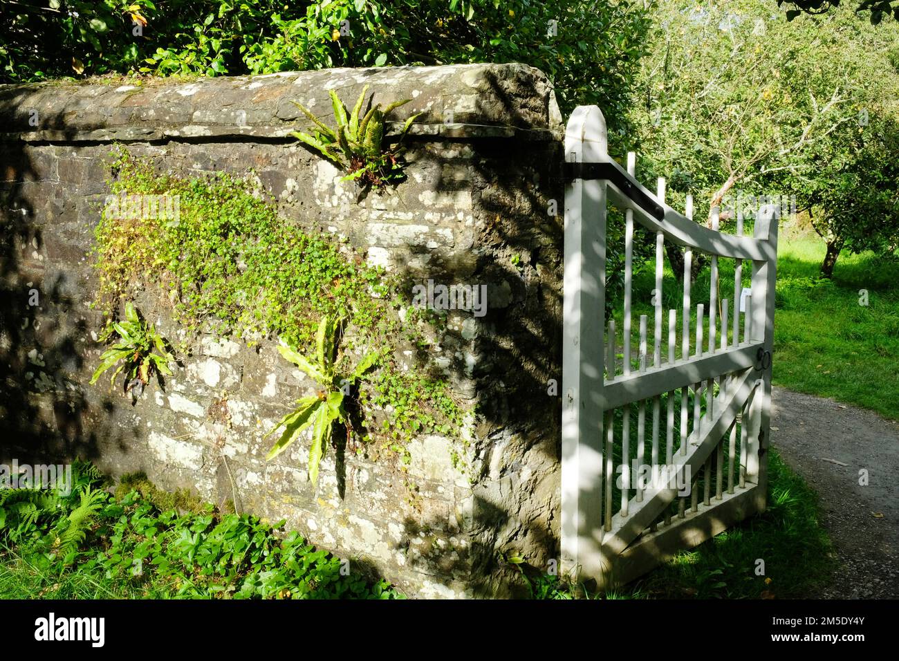 Rustic wooden gateway hi-res stock photography and images - Alamy
