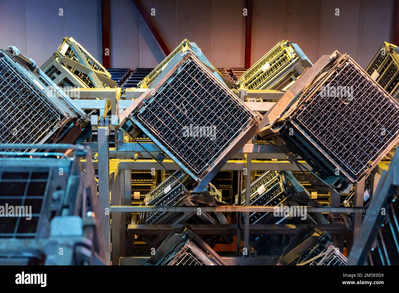 Production of cremant sparkling wine in Burgundy, France. Automatically ...