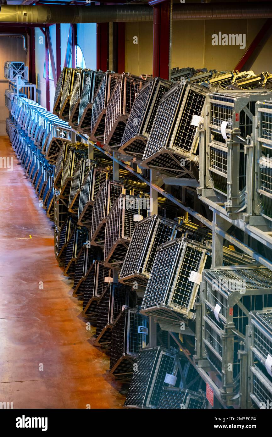 Production of cremant sparkling wine in Burgundy, France. Automatically ...